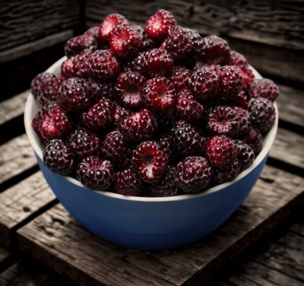 Jewel Raspberries - Berlin Seeds