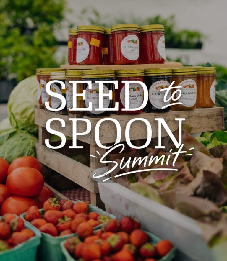 Events - Berlin Seeds